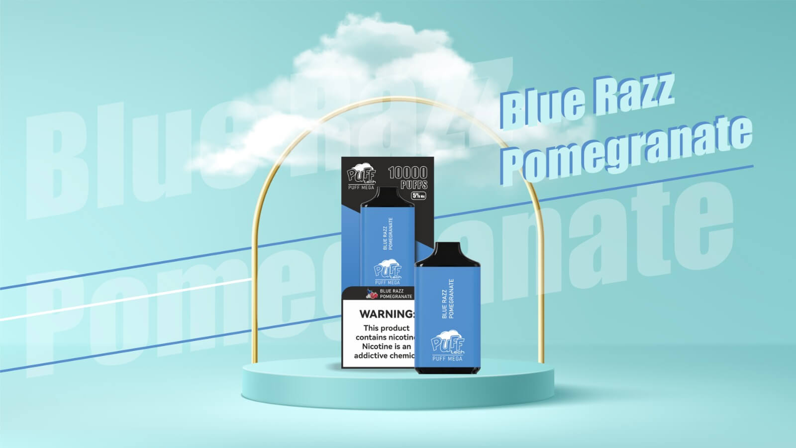 Puff Mega Blue Razz Pomegranate - PUFF TECH